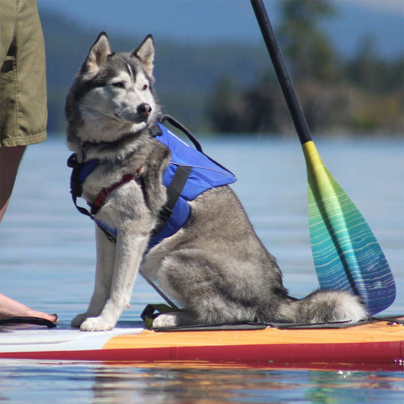 Salvavidas para perros Pup Float - SUP & Kayaks